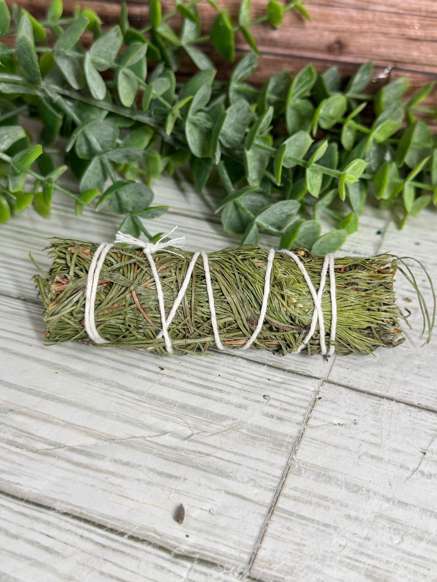 Pine Bundle – Buried Treasures Crystals