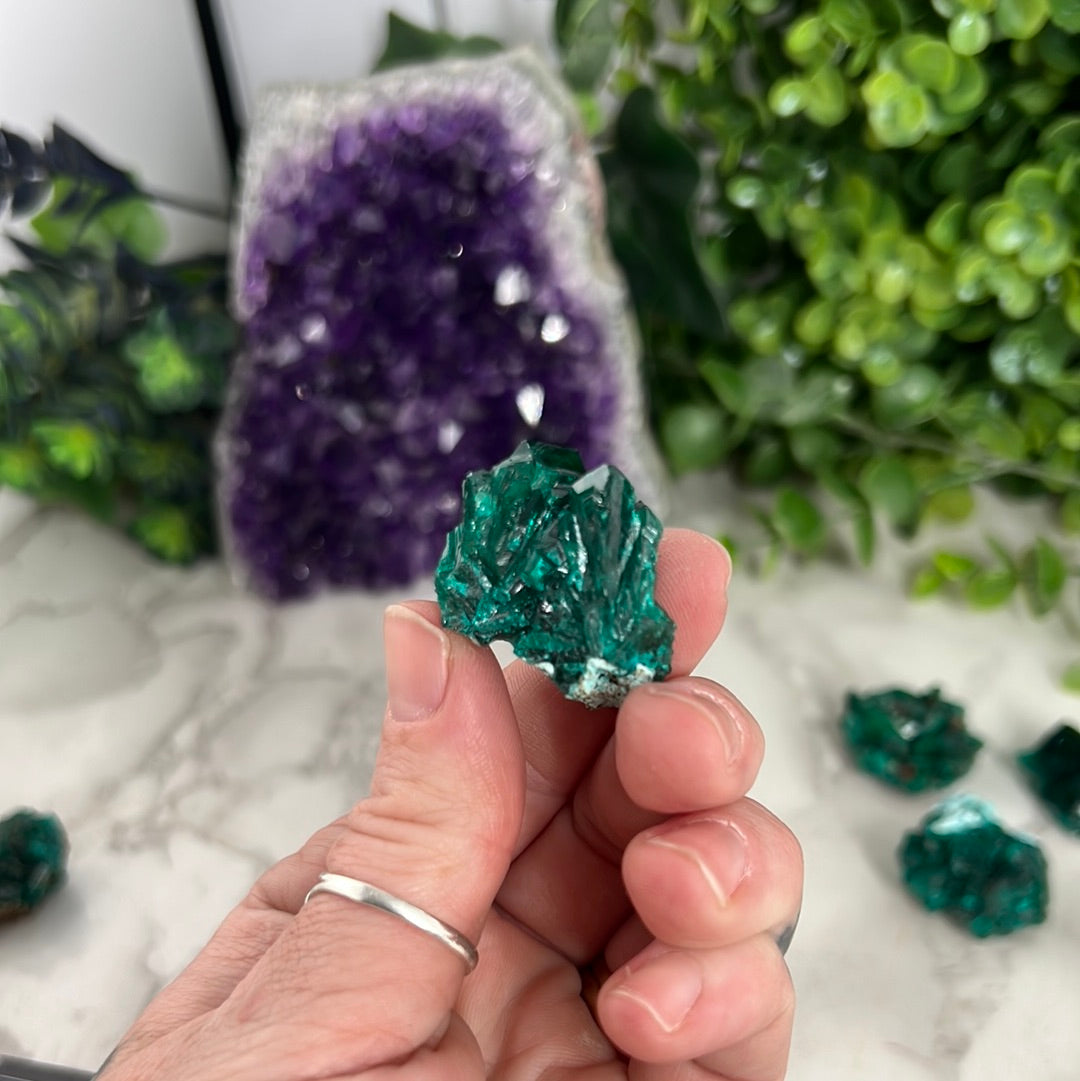 Dioptase Raw Specimen – Buried Treasures Crystals